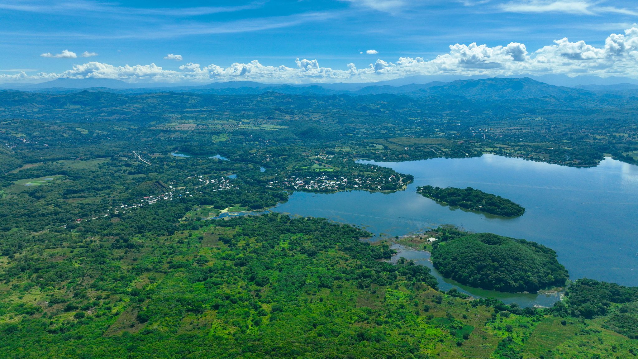 Detectan presencia de cianobacterias calificadas como «potencialmente ...
